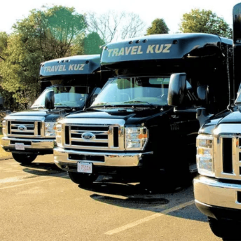 Mini School Bus Rental | Safe Transportation